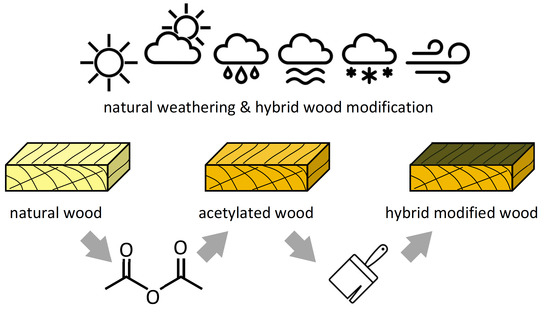 Coatings | Free Full-Text | Hybrid Approach for Wood Modification ...