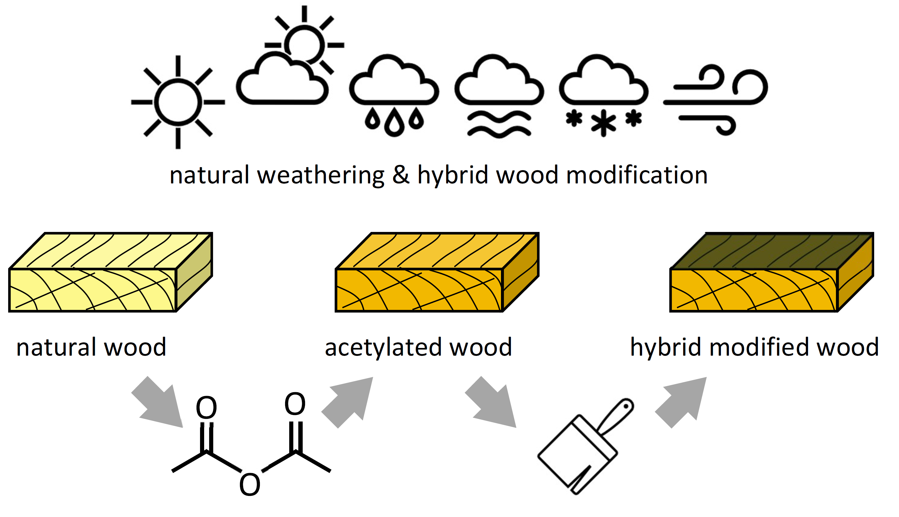 Coatings | Free Full-Text | Hybrid Approach for Wood Modification ...