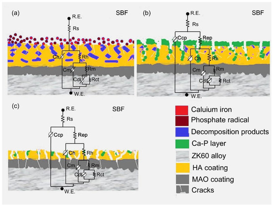 Preparation and Degradation Characteristics of MAO/APS Composite Bio ...