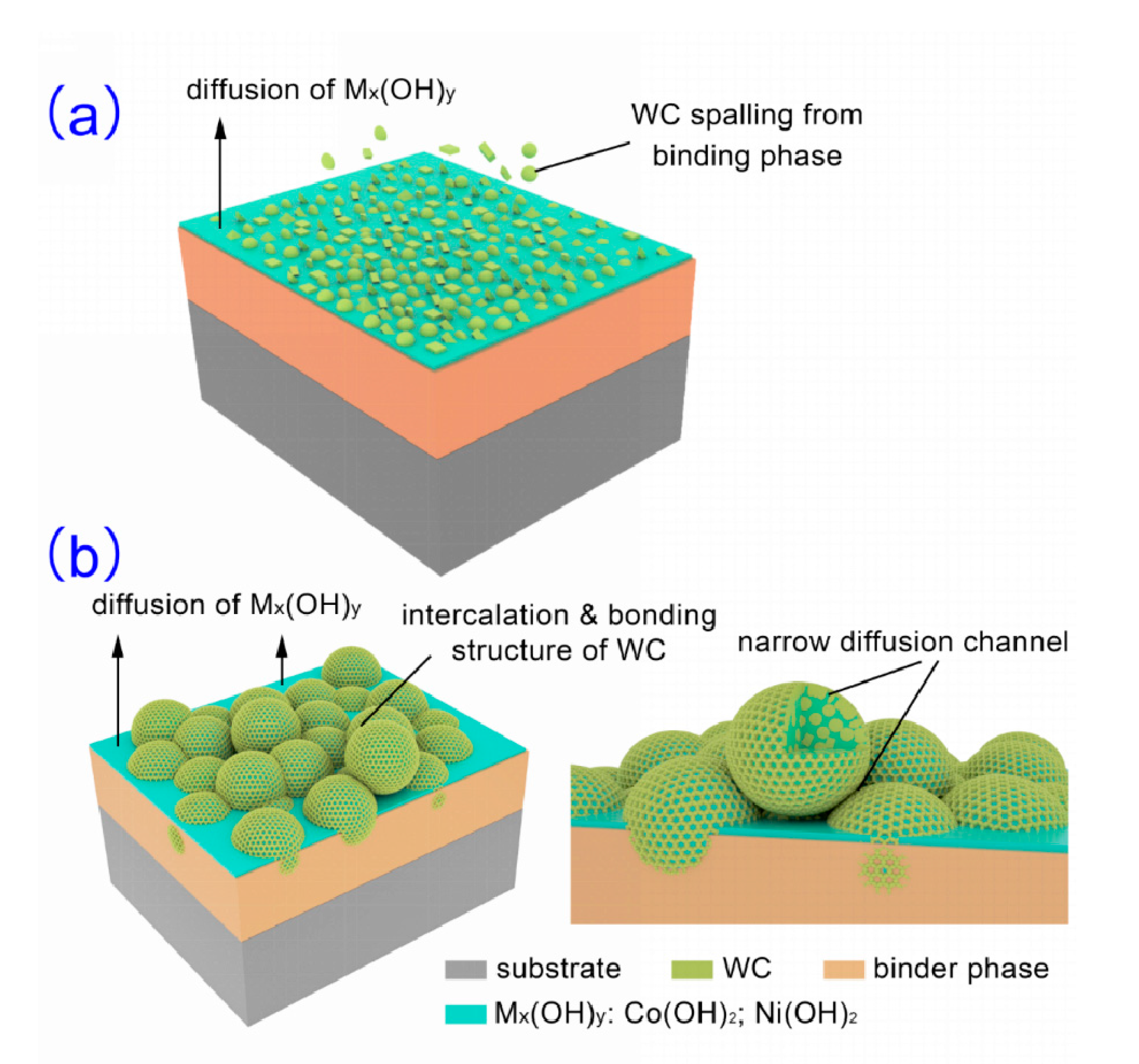 Geometric Influence of Hard Phase on Corrosion Performance between WC ...