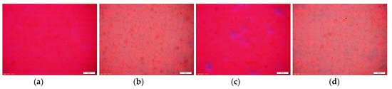 Effect of SiO2 and TiO2 Nanoparticles on the Performance of UV Visible Fluorescent Coatings