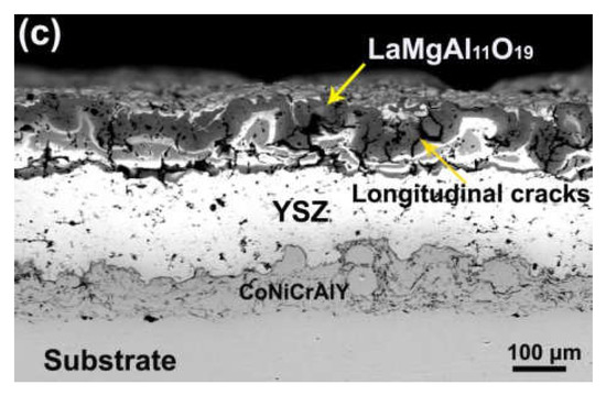 Coatings | Free Full-Text | Effect of Vacuum Annealing on Microstructure and Hot-Salt Corrosion ...
