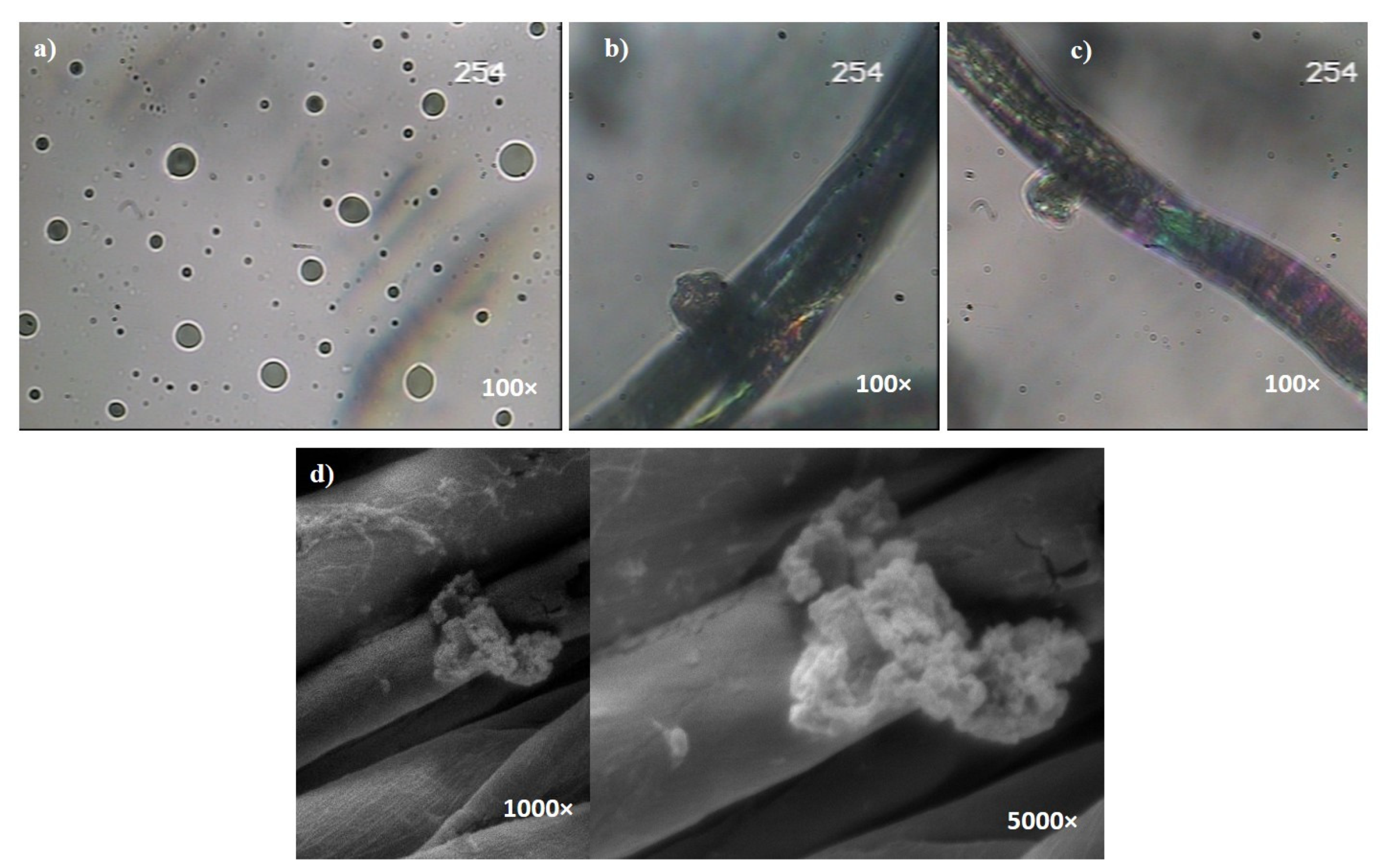 Enhanced Antibacterial Efficiency of Cellulosic Fibers ...