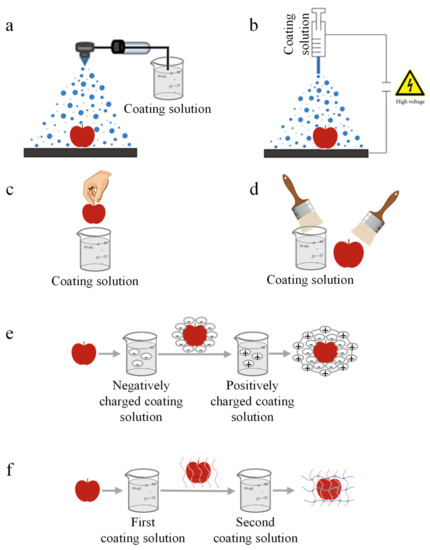 The Use of Nanocellulose in Edible Coatings for the Preservation of ...