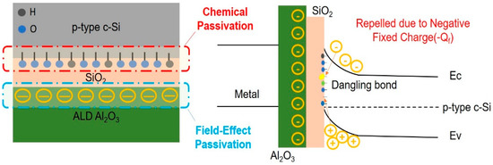 Study on Annealing Process of Aluminum Oxide Passivation Layer for PERC Solar Cells