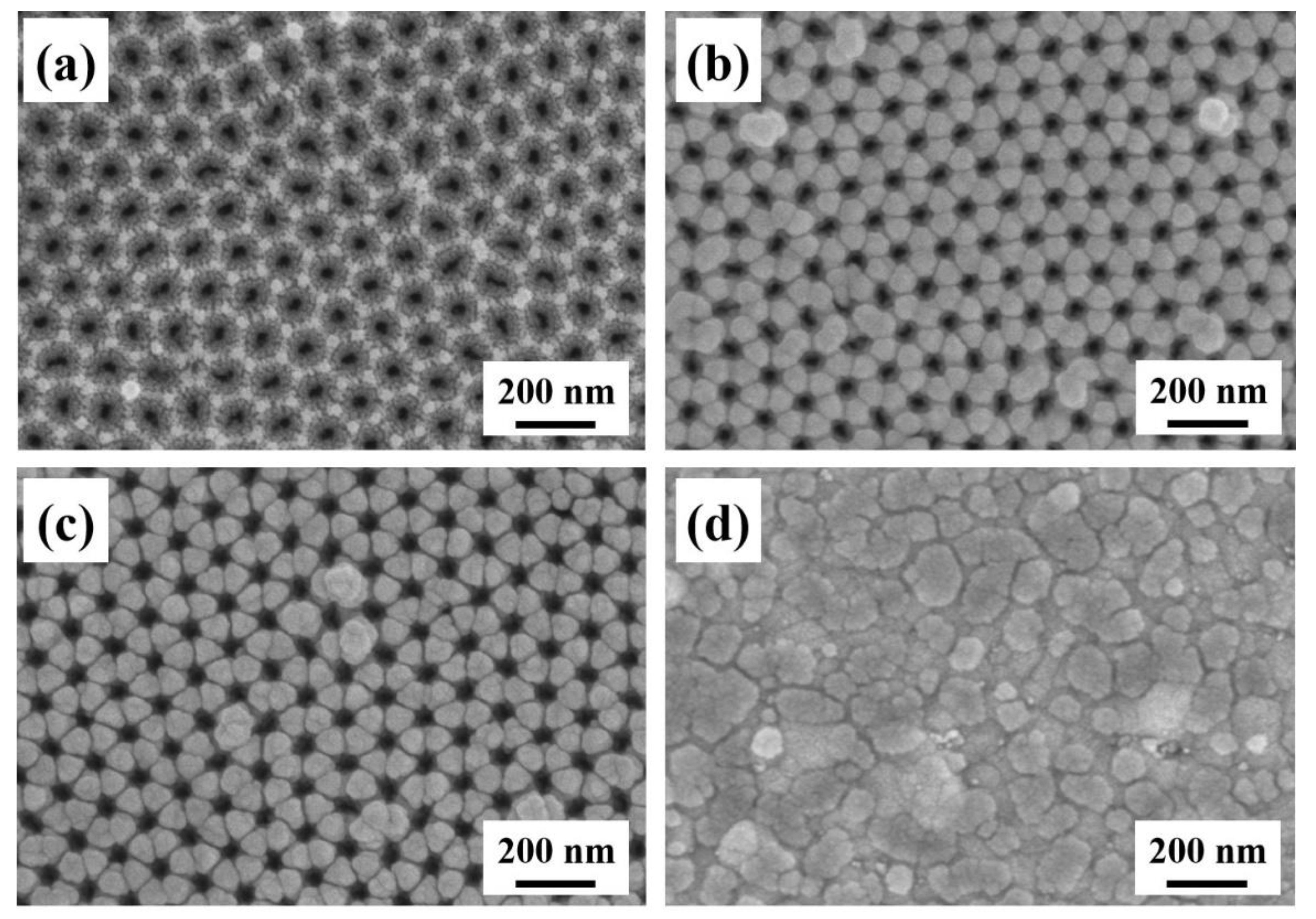 Fabrication of Multifunctional SERS Platform Based on Ag NPs Self ...