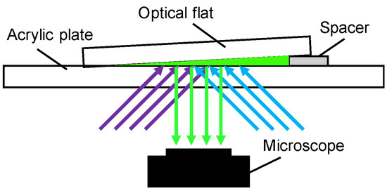 Evaluation of Coating Film Formation Process Using the Fluorescence Method