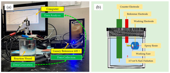 Coatings | Free Full-Text | Effect of Ni Addition on the Corrosion Resistance of NiTi Alloy ...