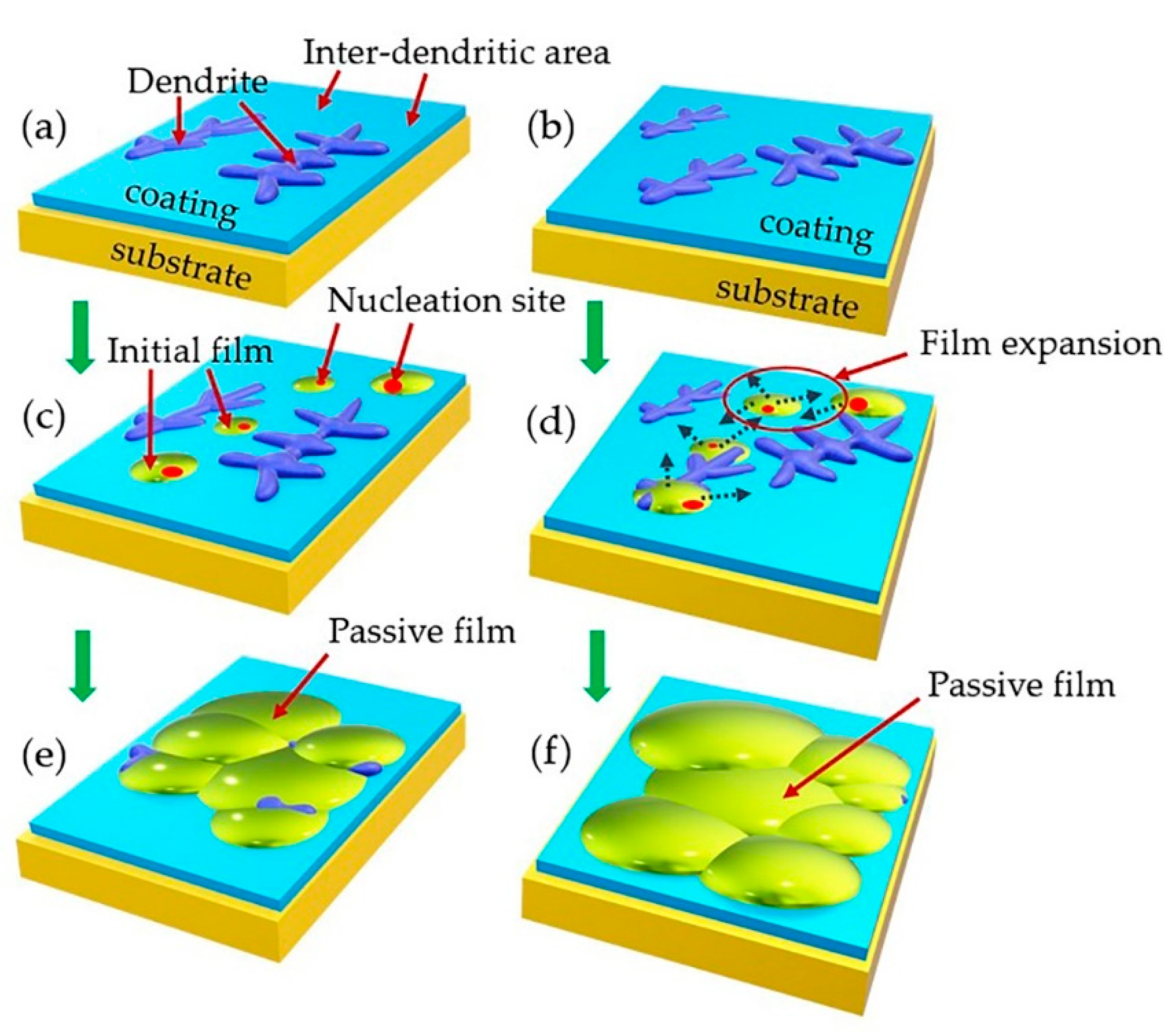 Effect of Ni Addition on the Corrosion Resistance of NiTi Alloy ...