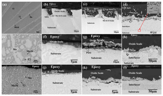 Microstructure and Oxidation Behavior of Metal-Modified Mo-Si-B Alloys ...