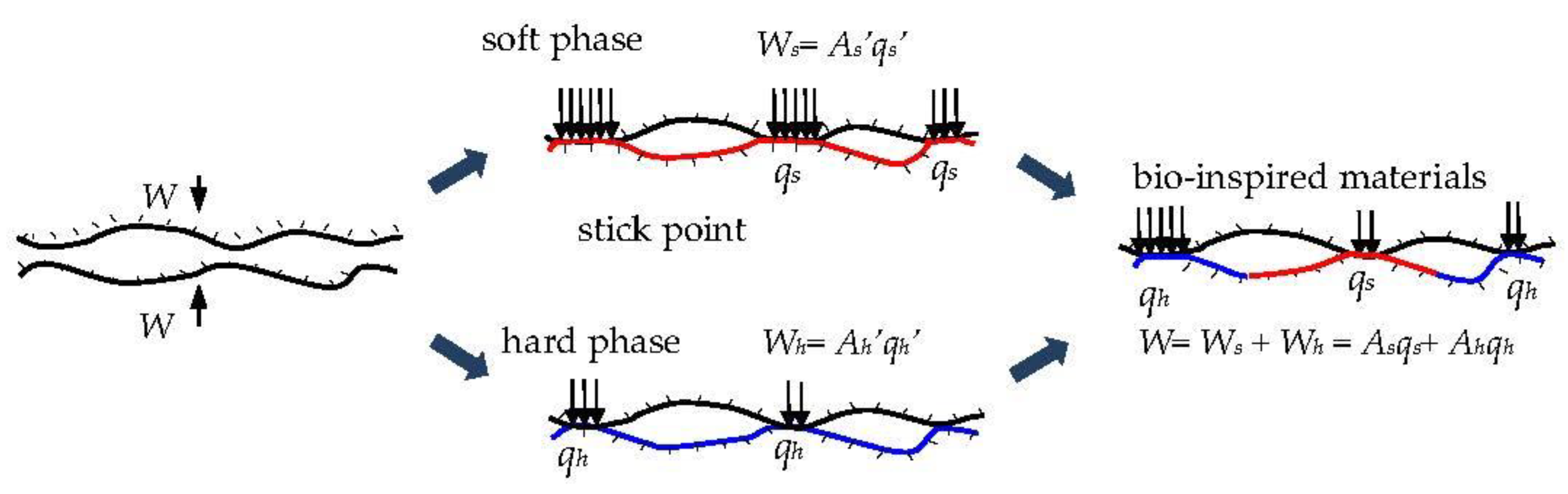 Theoretical Investigation on the Friction Behavior of Bio-Inspired Hard ...