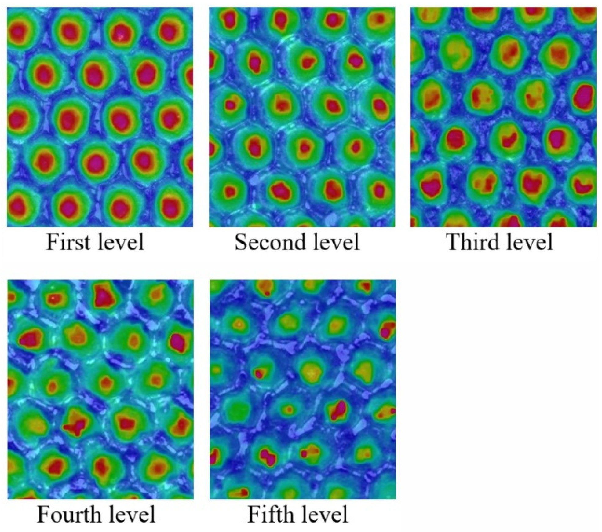 Assessment of the Condition of Anilox Rollers