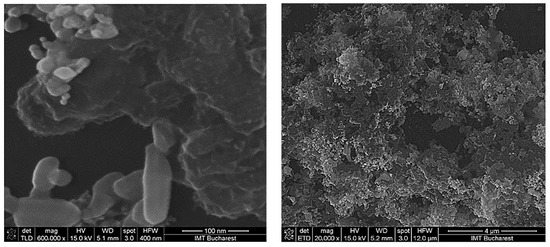 Quaternary Holey Carbon Nanohorns/SnO2/ZnO/PVP Nano-Hybrid as Sensing ...