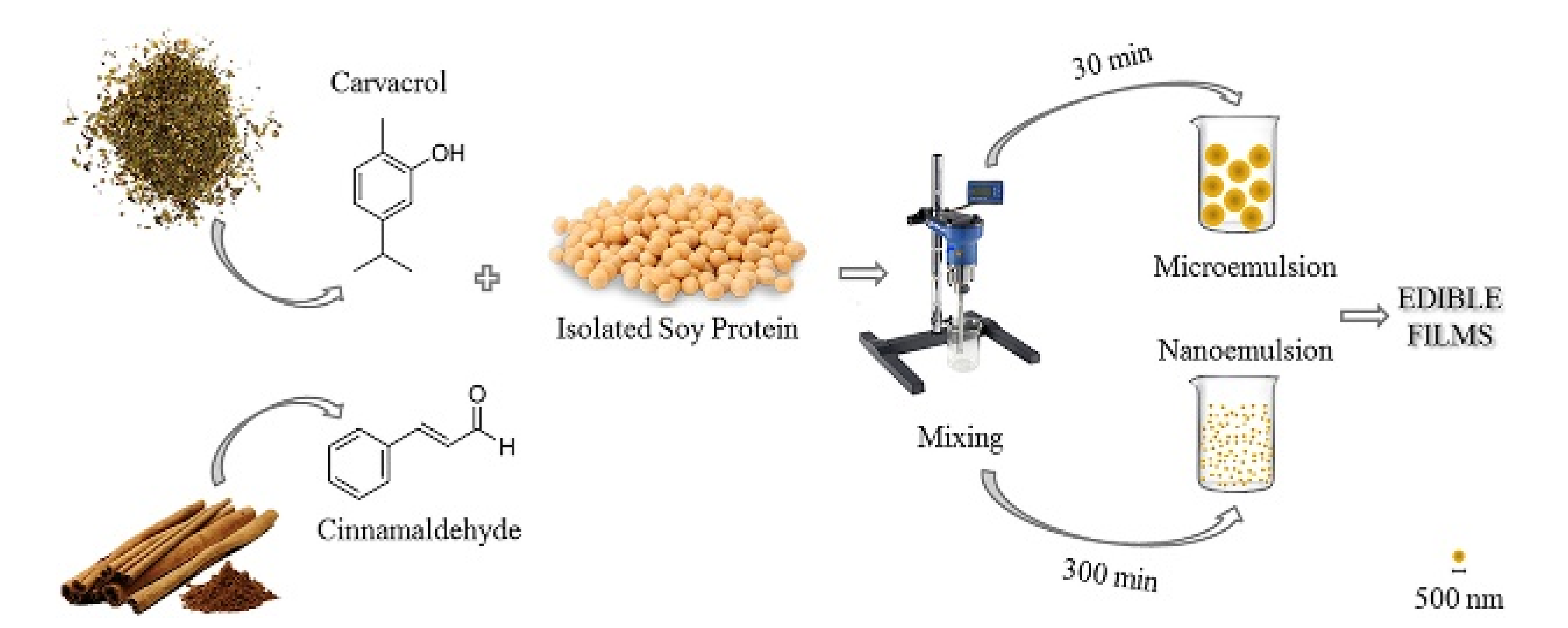 Edible Films on Meat and Meat Products