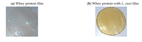 Edible Films on Meat and Meat Products