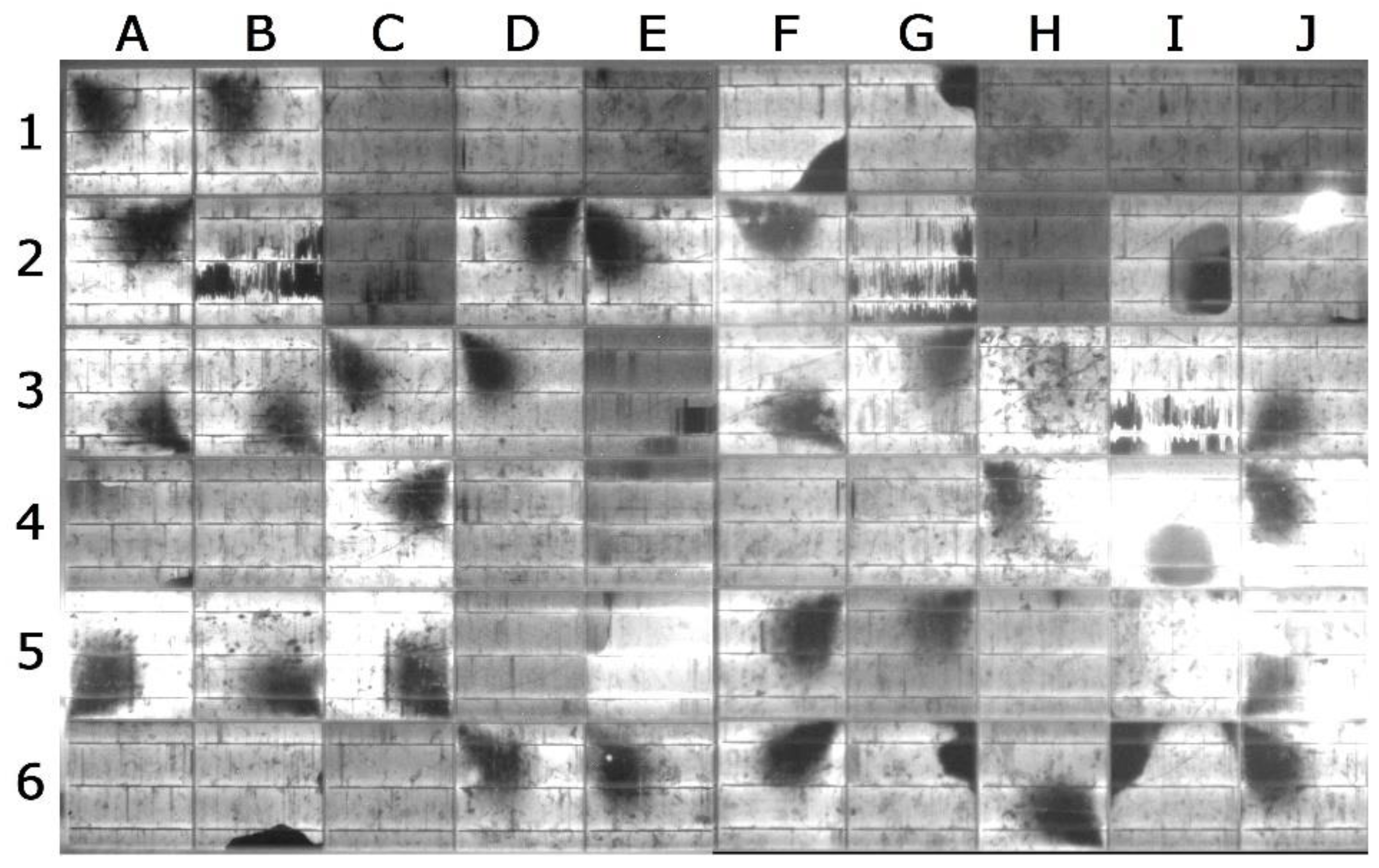 Condition Assessment of Solar Modules by Flash Test and ...