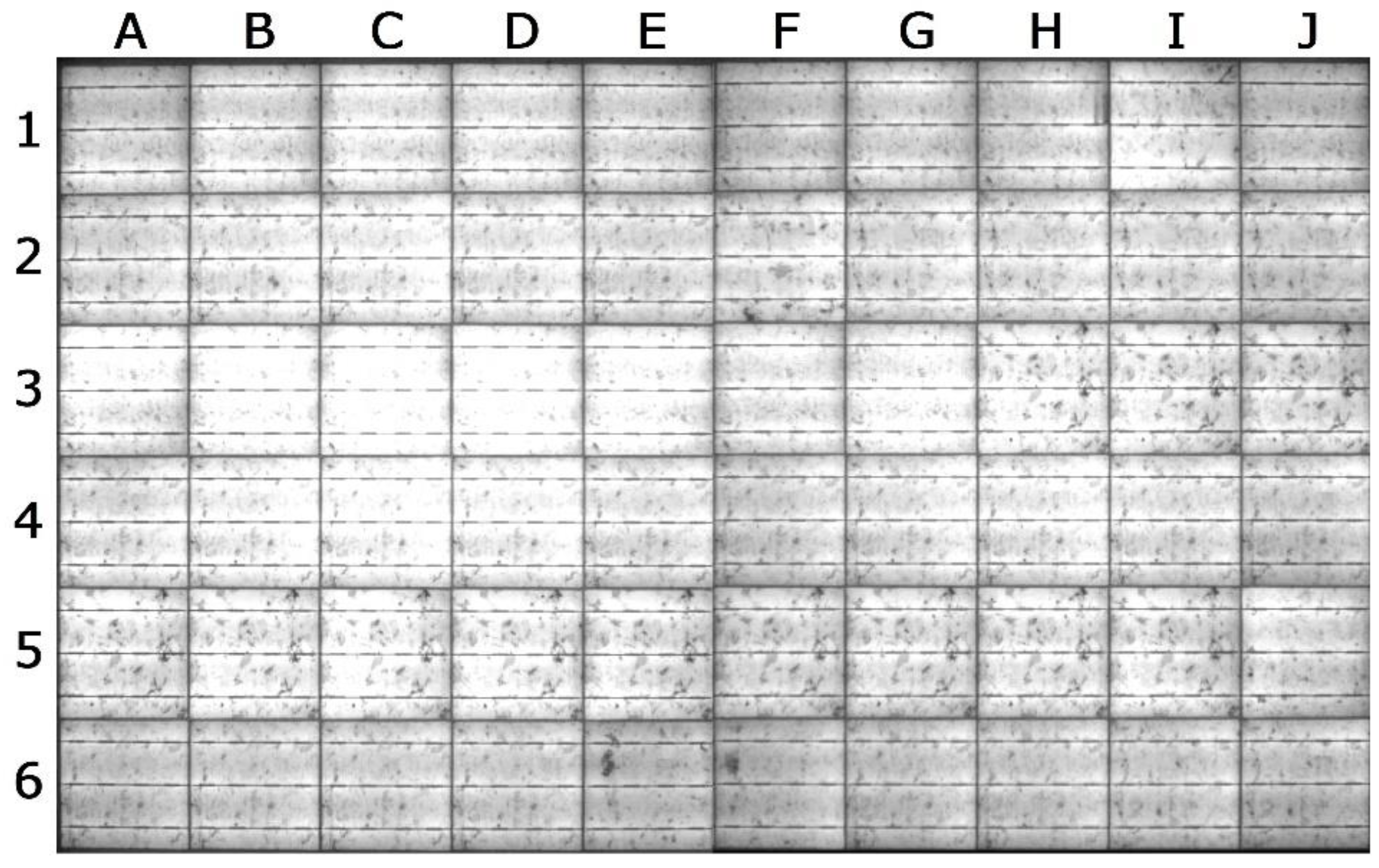 Condition Assessment of Solar Modules by Flash Test and ...