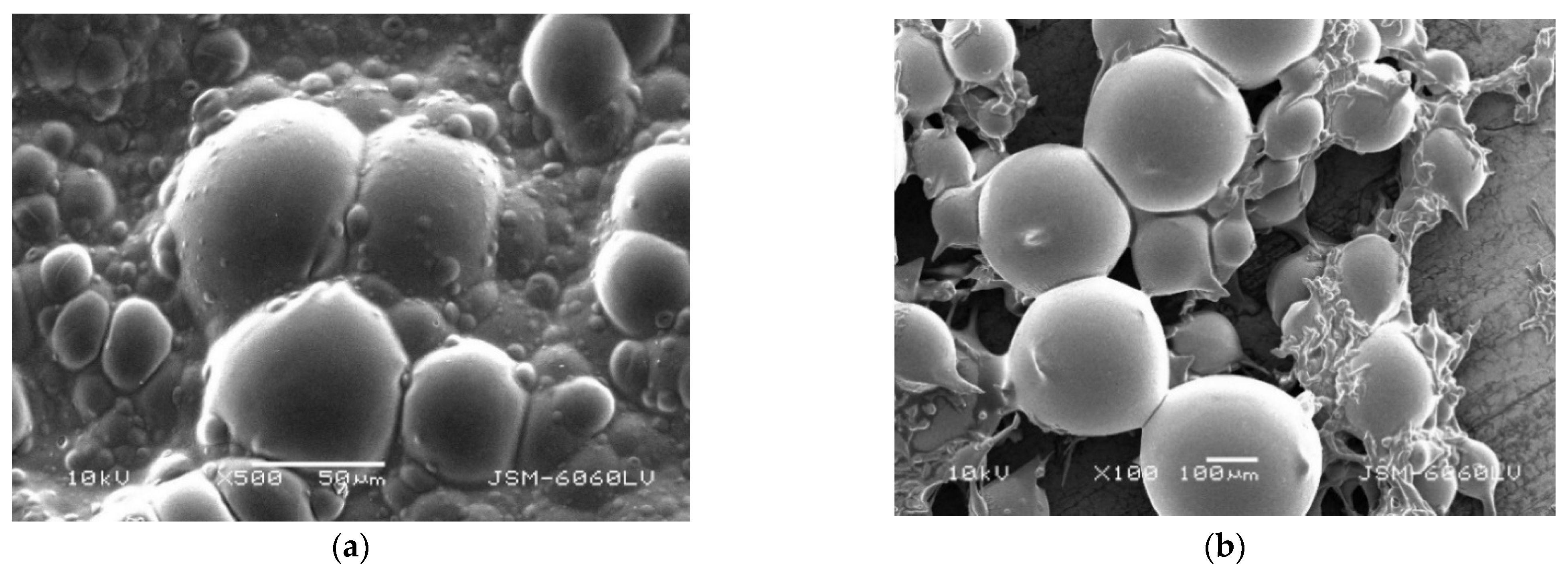 Microencapsulation for Functional Textile Coatings with Emphasis on ...