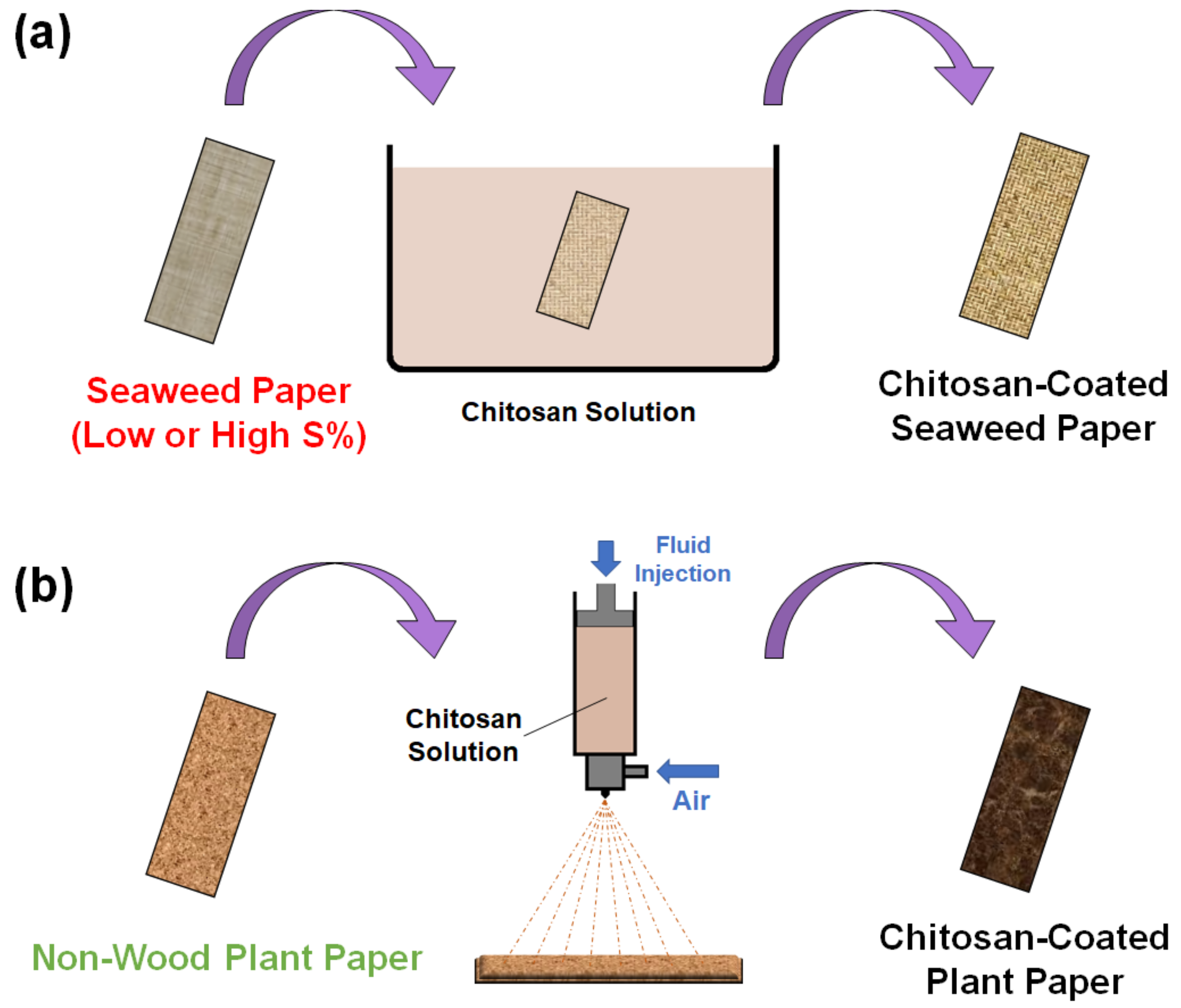 Comprehensive Enhancement of Mechanical, Water-Repellent and ...