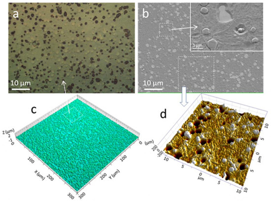 Surface Topography of PVD Hard Coatings