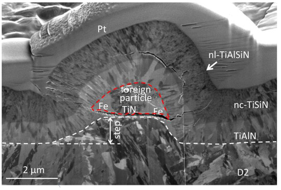 Surface Topography of PVD Hard Coatings