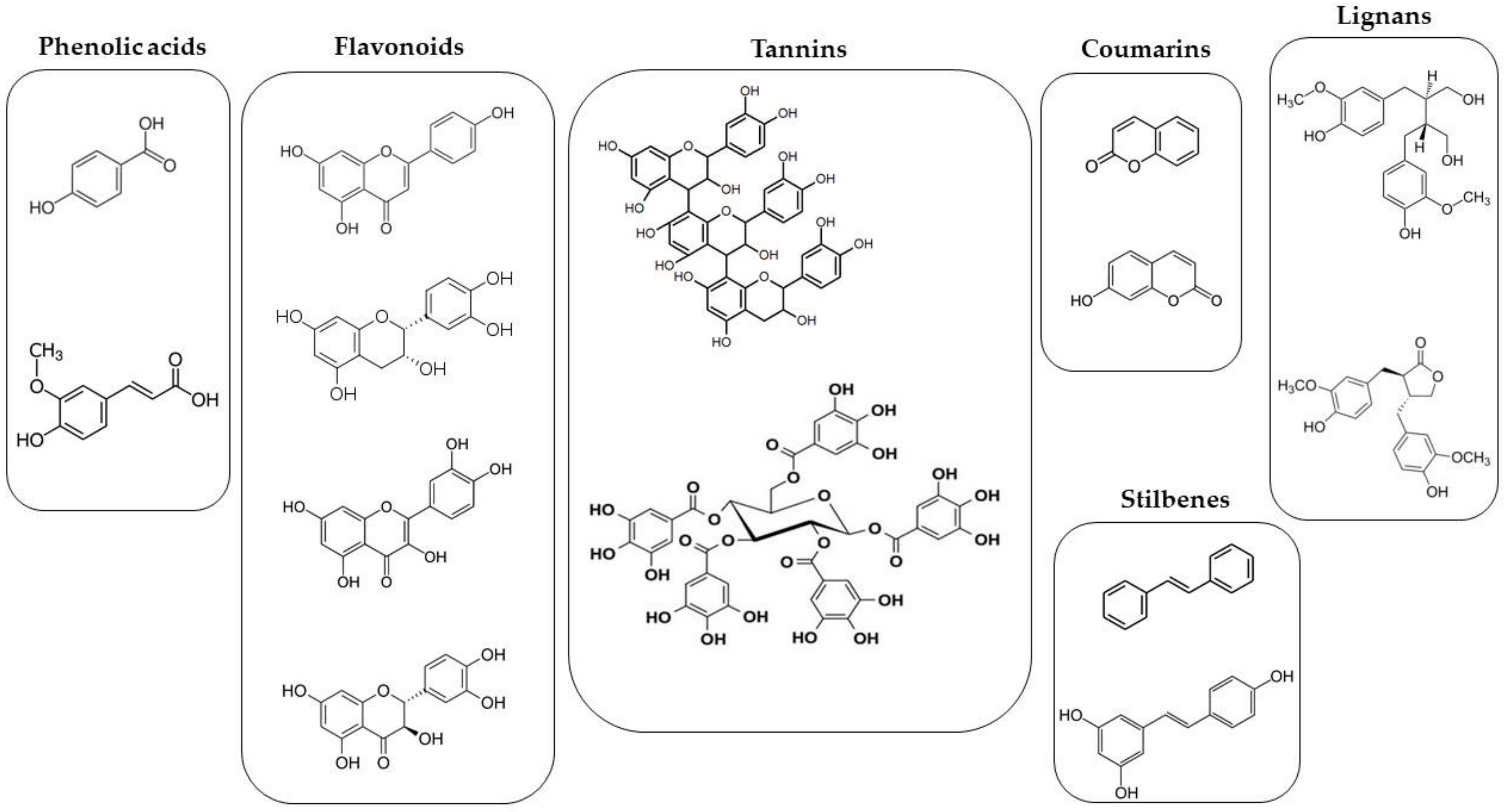 Bioactive Edible Films and Coatings Based in Gums and Starch: Phenolic ...