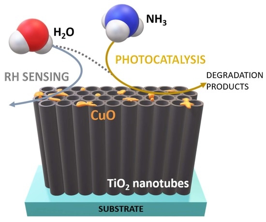 Coatings | Free Full-Text | Dual Use of Copper-Modified TiO2 Nanotube ...