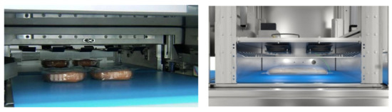 Towards Impact of Modified Atmosphere Packaging (MAP) on Shelf-Life of ...