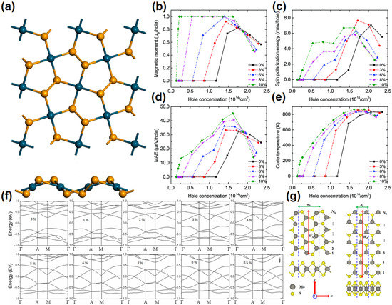 Atomically Thin 2D van der Waals Magnetic Materials: Fabrications ...