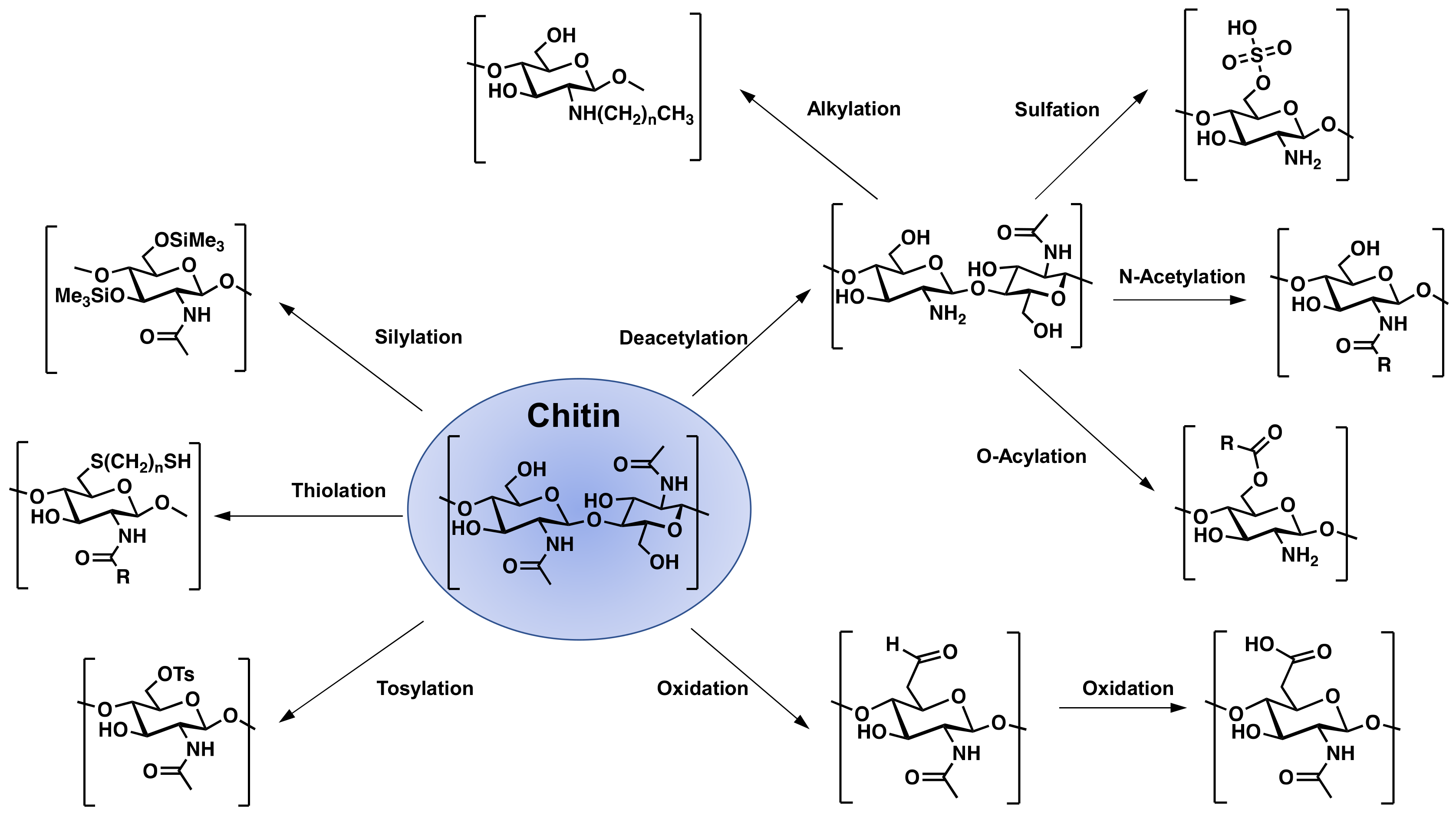 Coatings | Free Full-Text | Chitin Nanocrystals: Environmentally ...