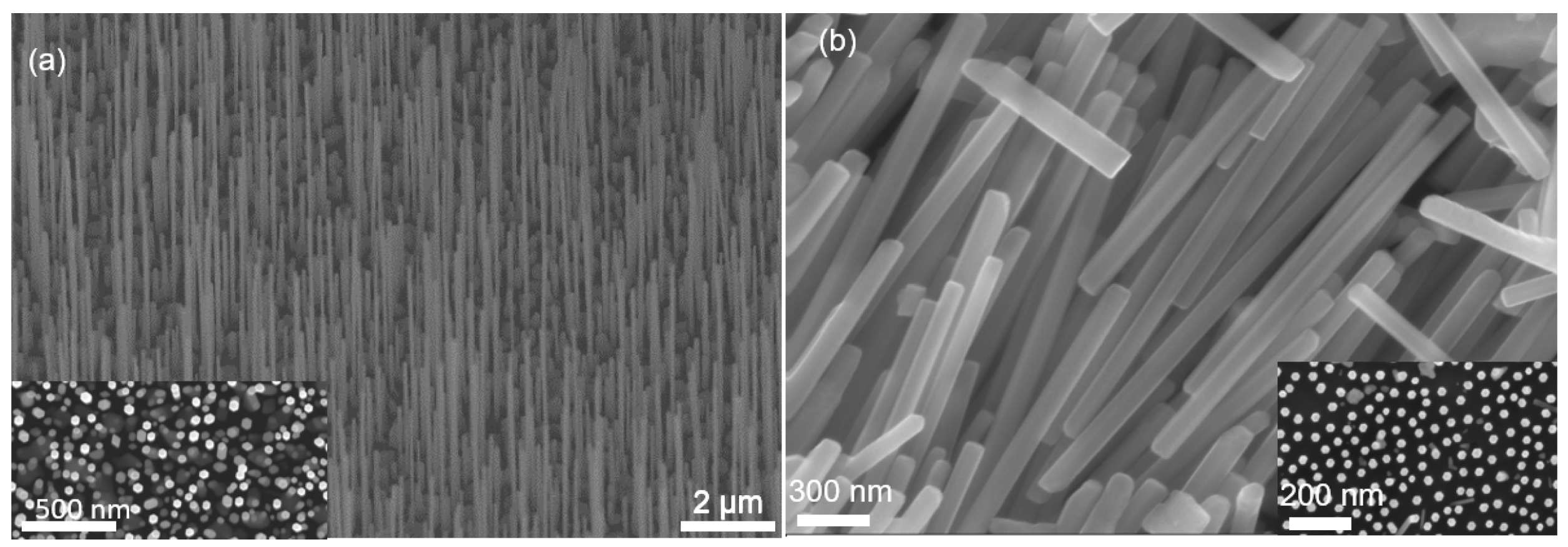 Phase Control Growth of InAs Nanowires by Using Bi Surfactant