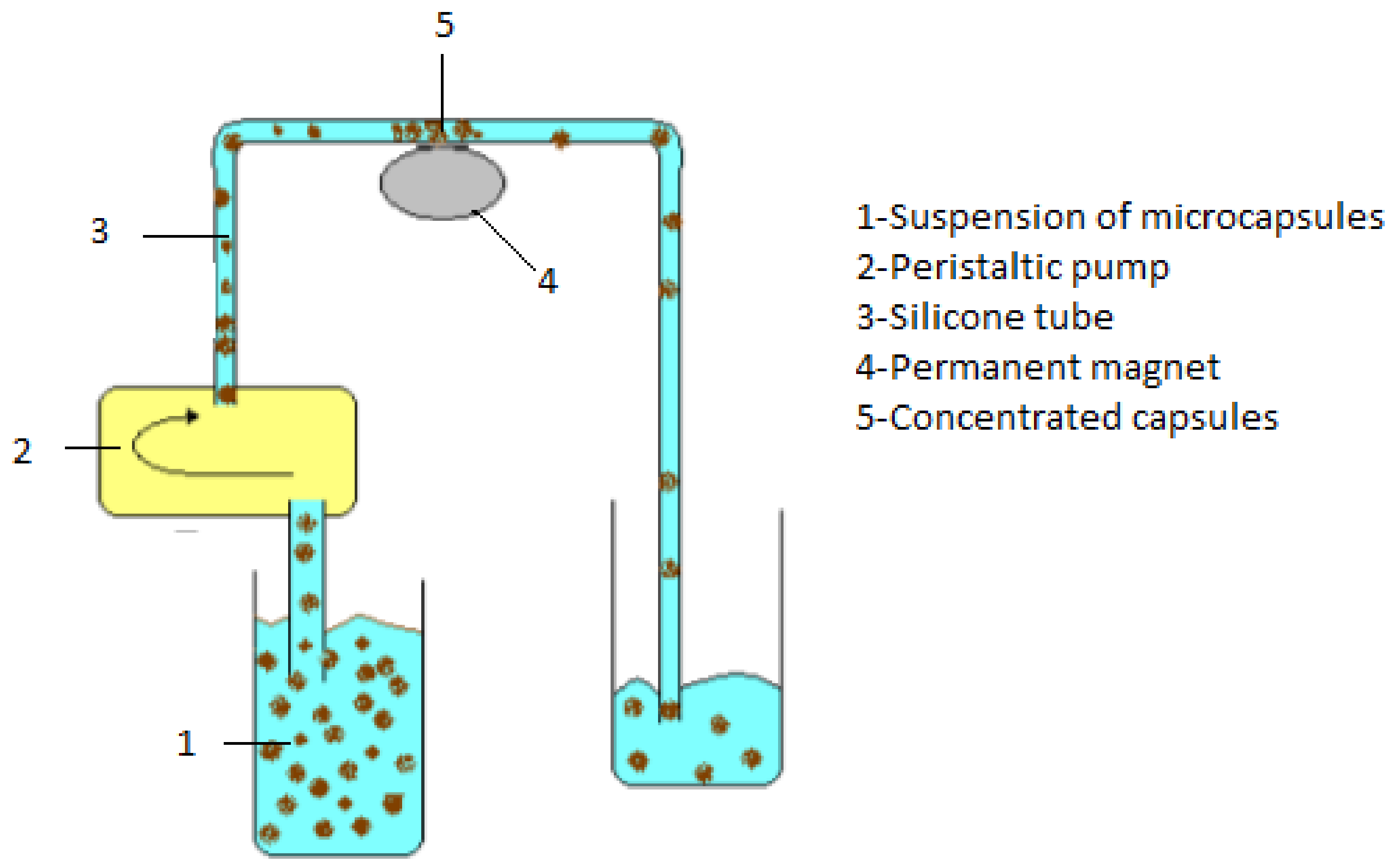 Transport of Magnetic Polyelectrolyte Capsules in Various Environments