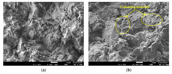 The Engineering Properties and Microscopic Characteristics of High ...
