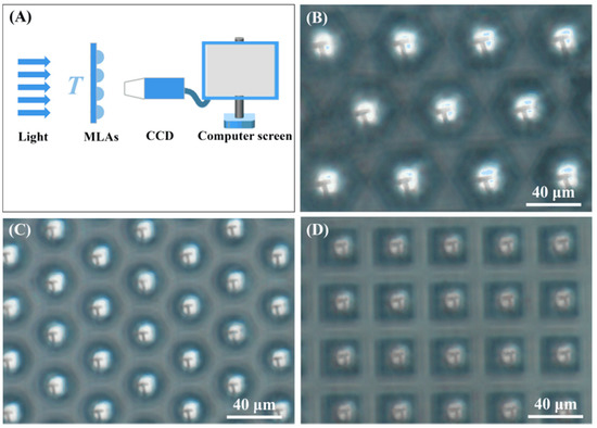Organic–Inorganic Hybrid Film MLAs Built on the Silicon Solar Cells to ...