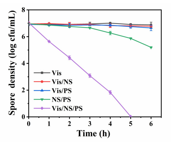 Photocatalytic Inactivation of Bacillus subtilis Spores by Natural ...