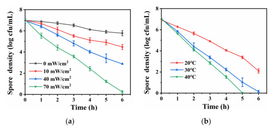 Photocatalytic Inactivation of Bacillus subtilis Spores by Natural ...