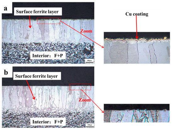 The Ferrite Layer on the Surface of Carbon Steel Obtained by Precisely ...