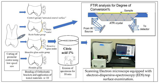 A Bioactive Enamel Sealer Can Protect Enamel during Orthodontic ...