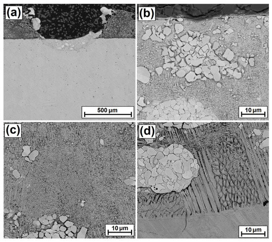 Influence of Manufacturging Parameters on Microstructure, Chemical ...