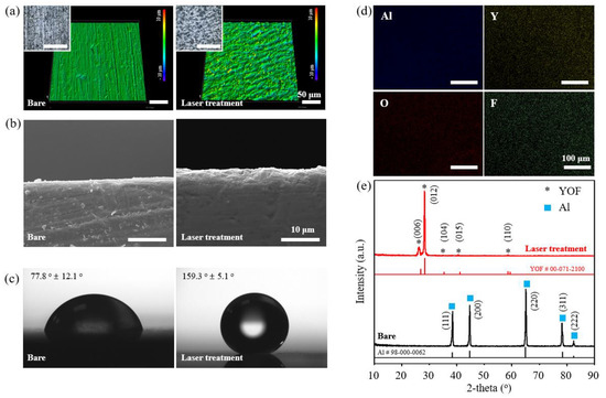 Improvement of Yttrium Oxyfluoride Coating with Modified Precursor ...