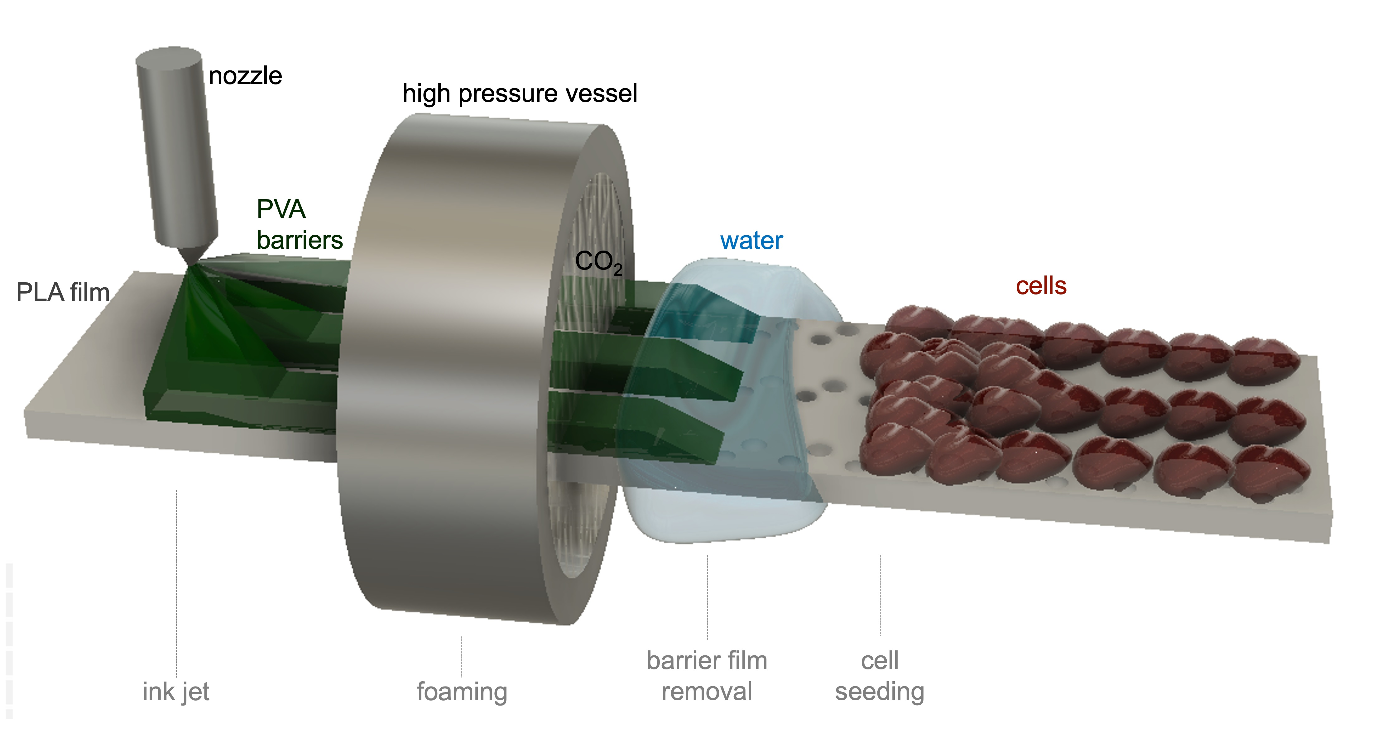Coatings | Free Full-Text | Bubble-Patterned Films by Inkjet Printing ...