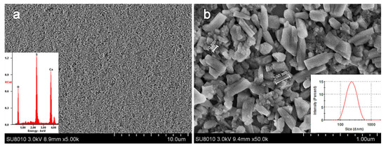 Consolidation of Fragile Oracle Bones Using Nano Calcium Sulfate ...