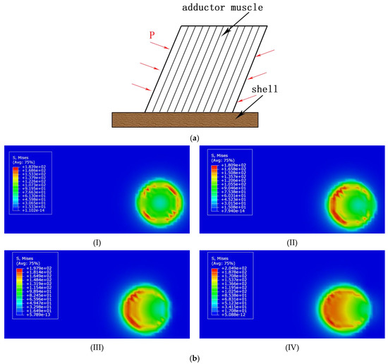 Coatings | Free Full-Text | Simulation Analysis of Organic–Inorganic ...
