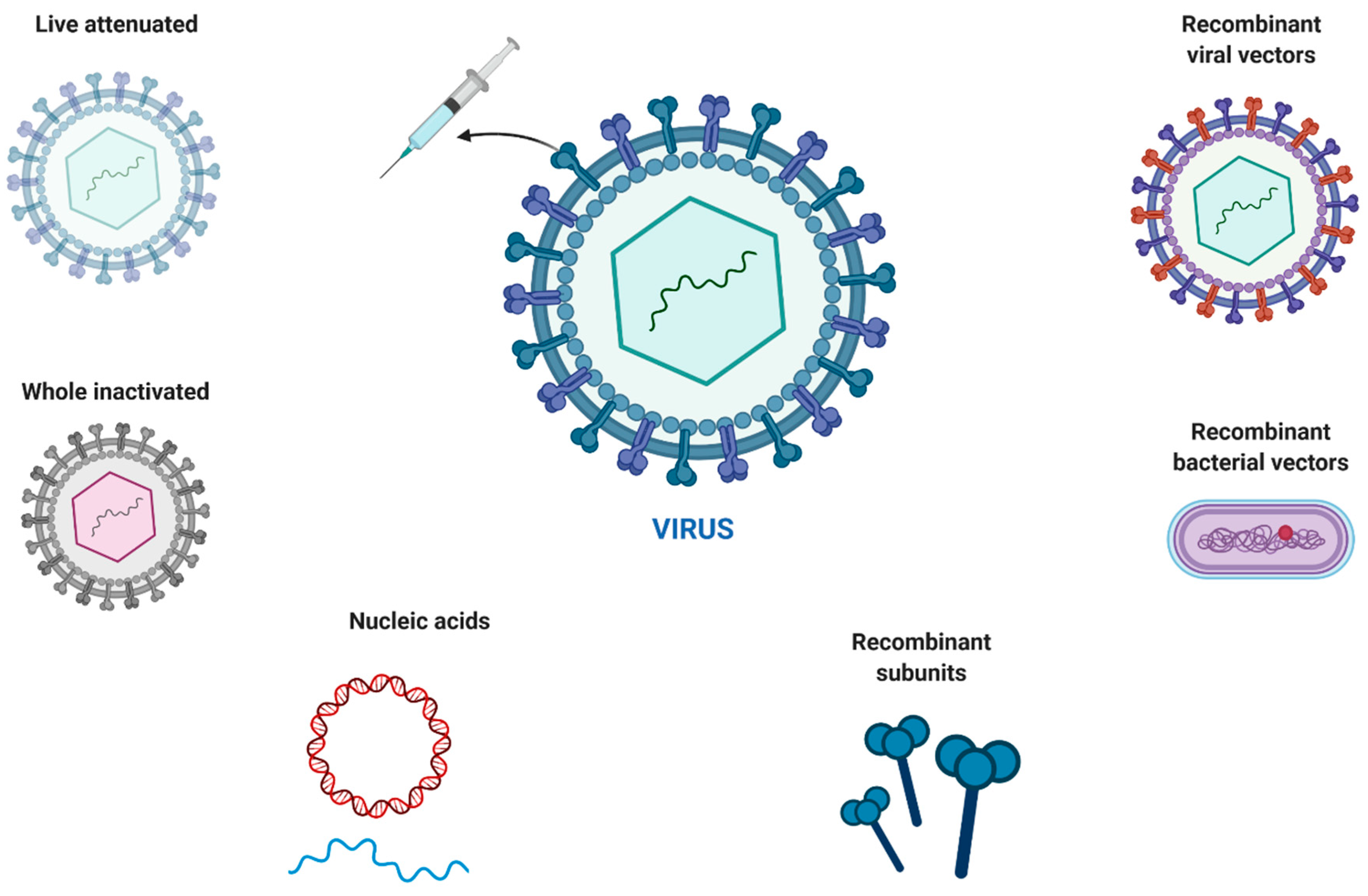 Nanomaterials as Emerging Therapeutics for the Deadly Coronavirus