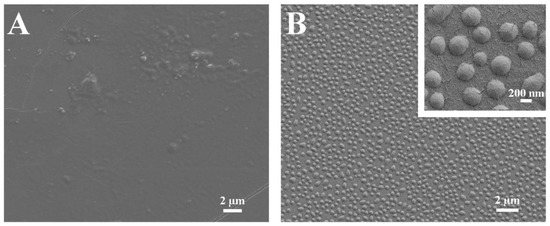 The Effect of PVP on Thermal, Mechanical, and Dielectric Properties in ...