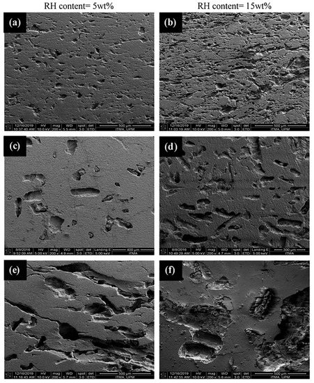 Rice Husk as a Pore-Forming Agent: Impact of Particle Size on the ...
