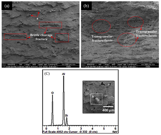 Rice Husk as a Pore-Forming Agent: Impact of Particle Size on the ...