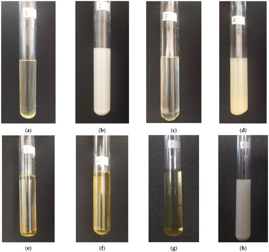 Nanoscale Composite Protective Preparation for Cars Paint and Varnish ...