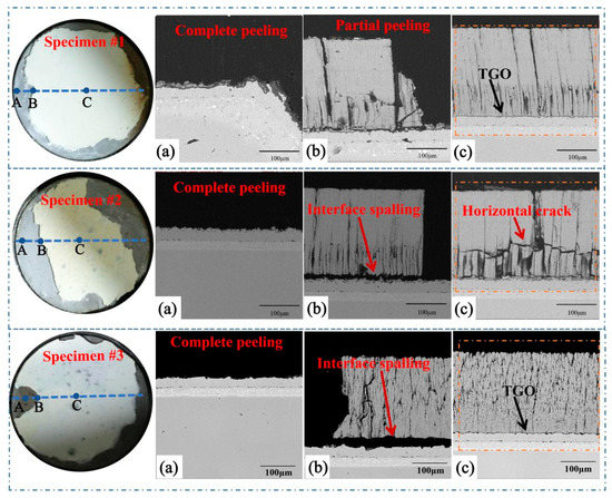 Failure Mechanism of EB-PVD Thermal Barrier Coatings under the ...