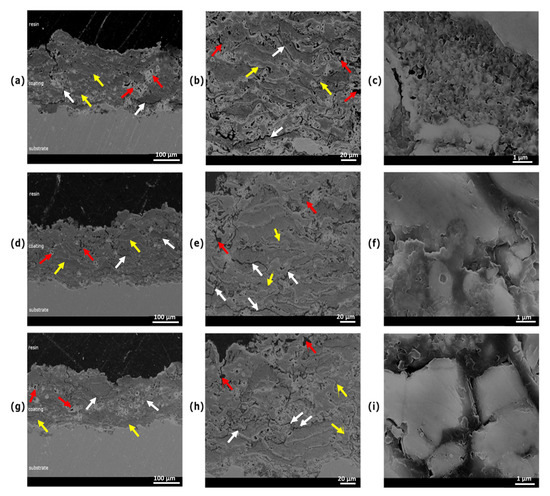 Plasma-Sprayed Hydroxyapatite Coatings and Their Biological Properties